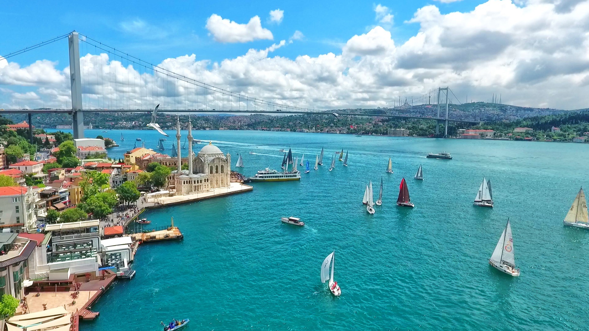 Turkey Day Tour in Istanbul – Explore Hagia Sophia & Blue Mosque