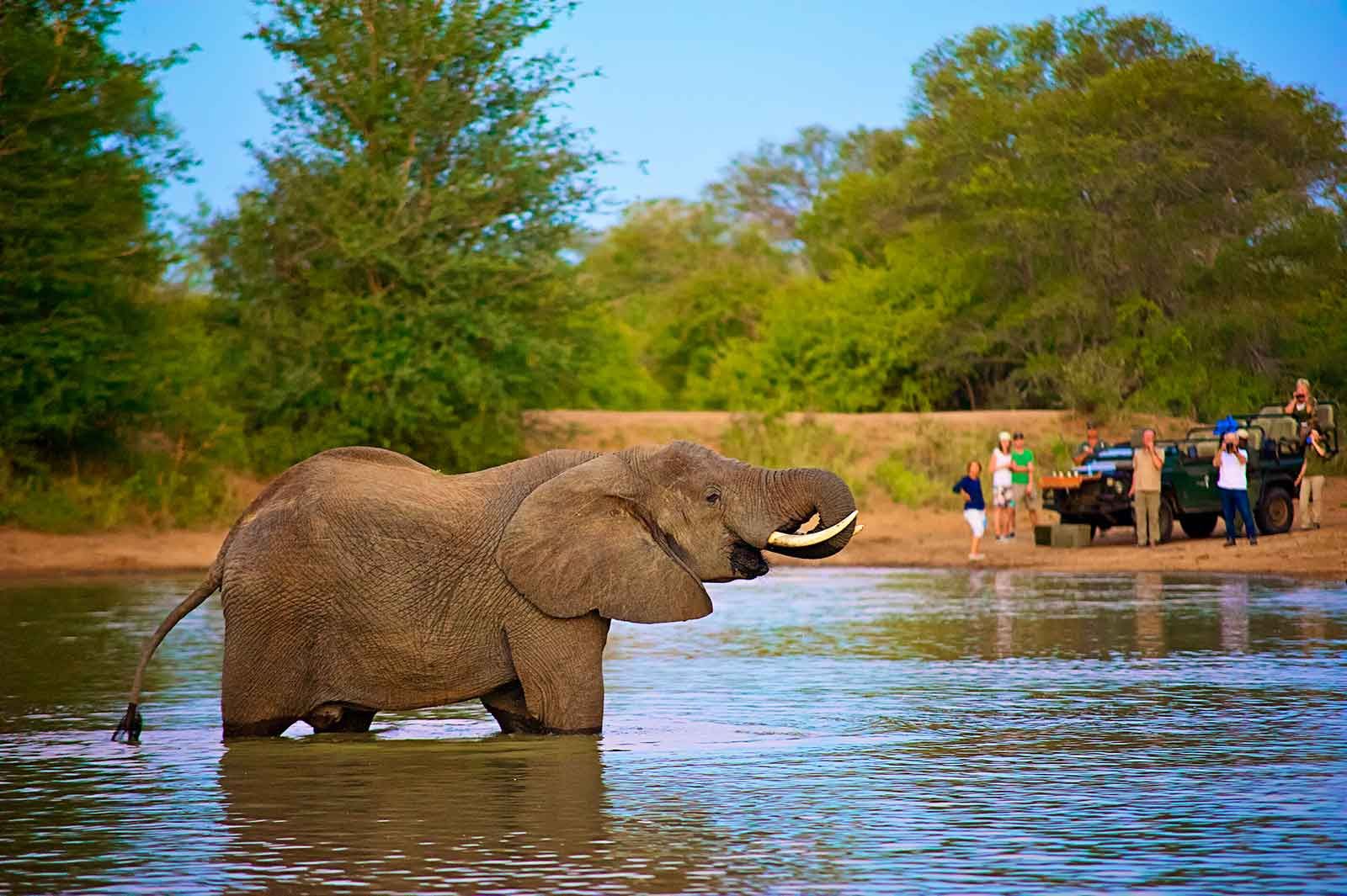 Kruger National Park, South Africa | Explore African Wildlife
