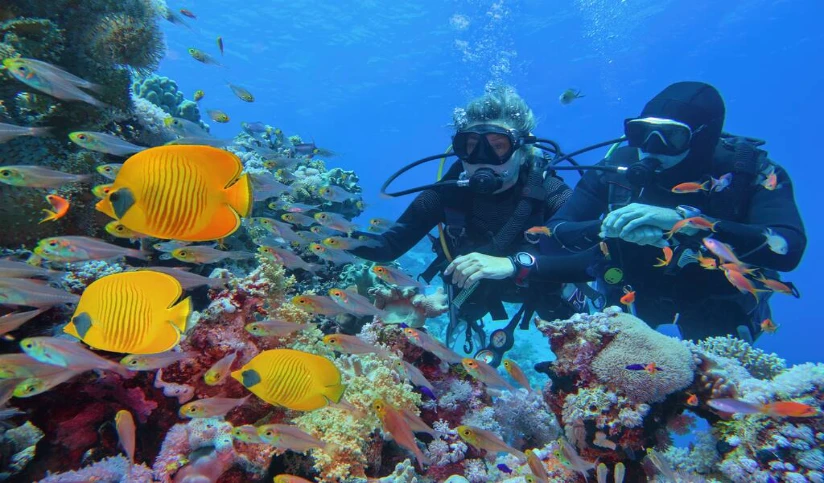 Diving in Hurghada: What are the best diving spots in Hurghada?